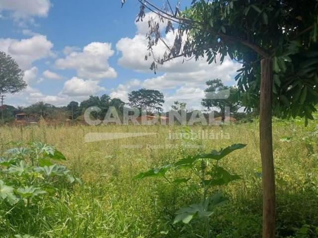 Terreno Padrão em São Carlos
