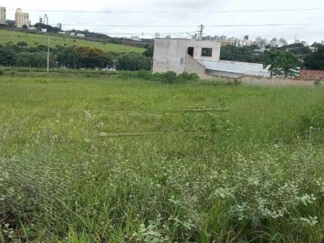Terreno Padrão em São Carlos