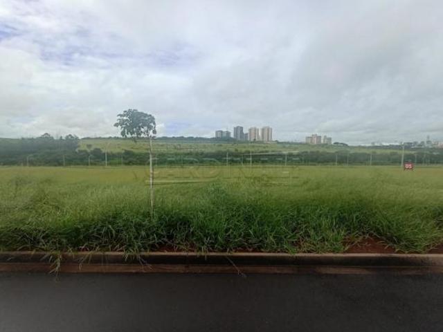Terreno Padrão em São Carlos