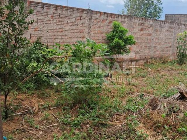 Terreno Padrão em São Carlos