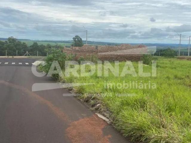 Terreno Padrão em São Carlos