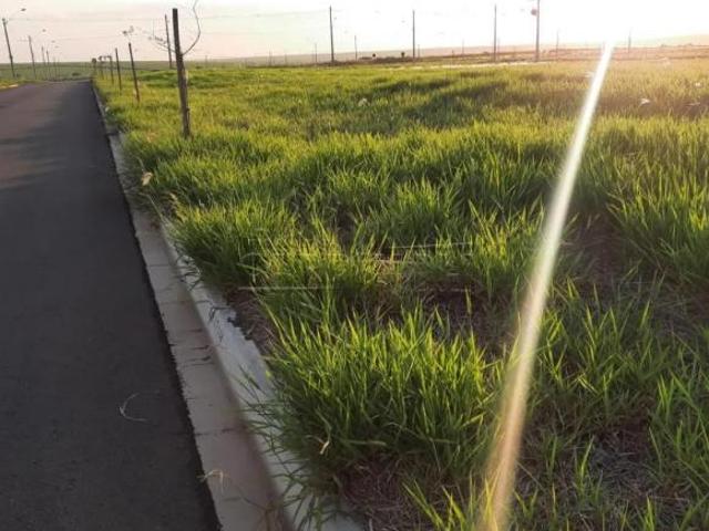 Terreno Padrão em São Carlos