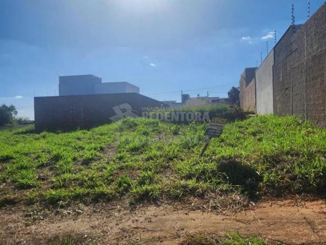 Terreno Padrão em São José do Rio Preto