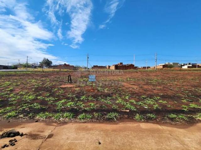 Terreno Padrão em São José do Rio Preto