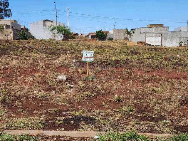 Terreno Padrão em São José do Rio Preto