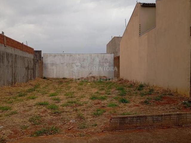 Terreno Padrão em São José do Rio Preto