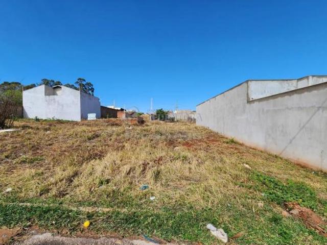 Terreno Padrão em São José do Rio Preto