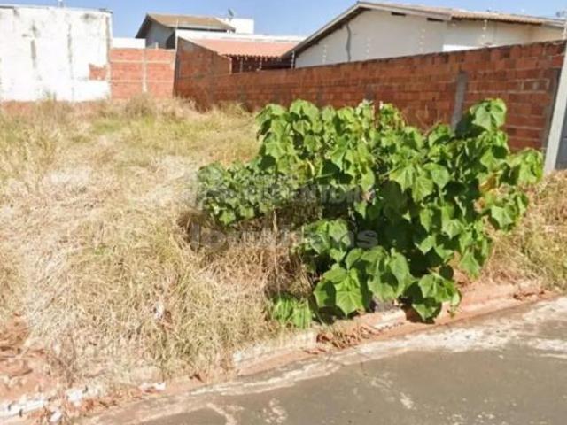 Terreno Padrão em São José do Rio Preto