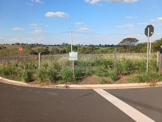 Terreno Padrão em São José do Rio Preto