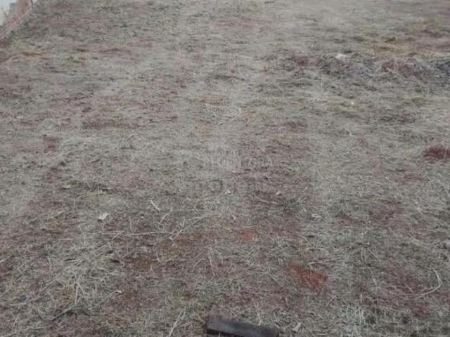 Terreno Padrão em São José do Rio Preto