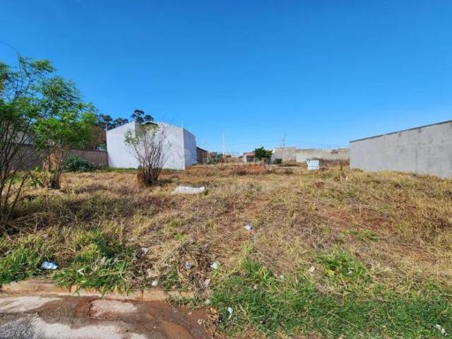 Terreno Padrão em São José do Rio Preto