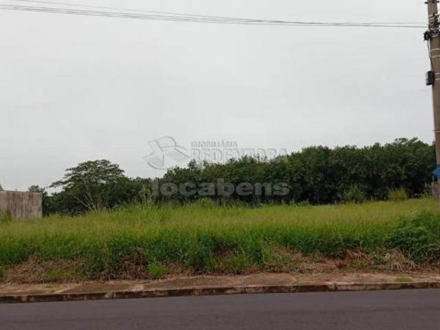Terreno Padrão em São José do Rio Preto