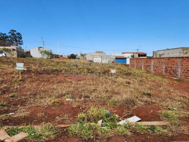 Terreno Padrão em São José do Rio Preto