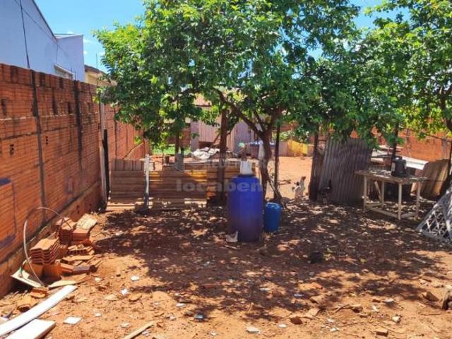 Terreno Padrão em São José do Rio Preto