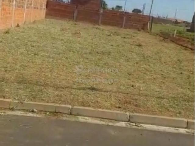 Terreno Padrão em São José do Rio Preto
