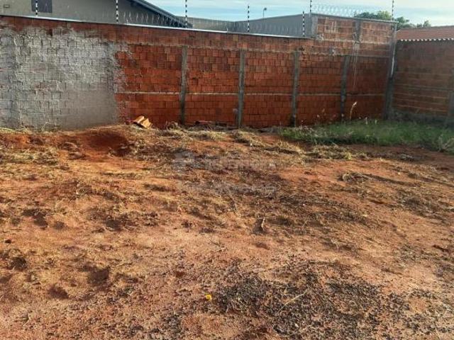 Terreno Padrão em São José do Rio Preto