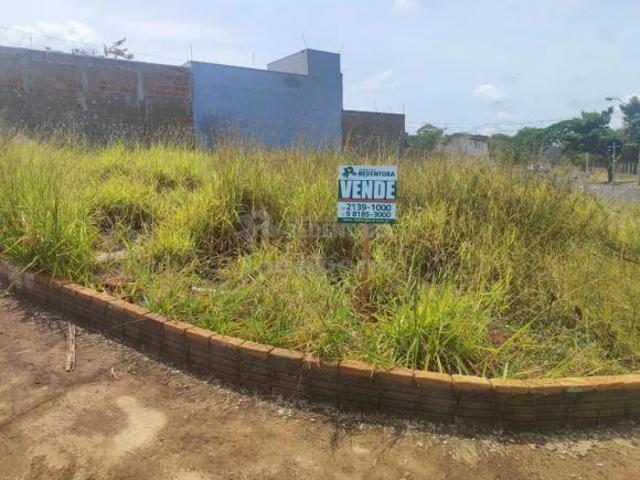 Terreno Padrão em São José do Rio Preto