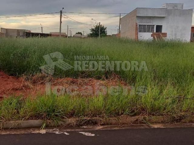 Terreno Padrão em São José do Rio Preto