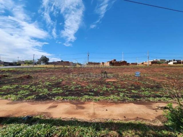 Terreno Padrão em São José do Rio Preto