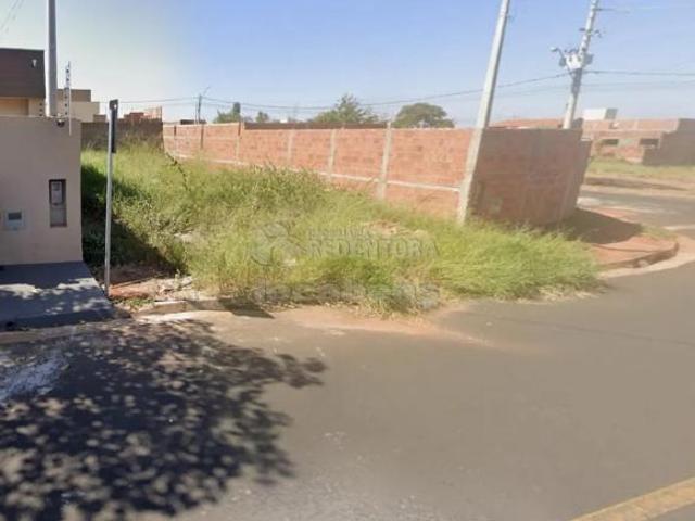 Terreno Padrão em São José do Rio Preto
