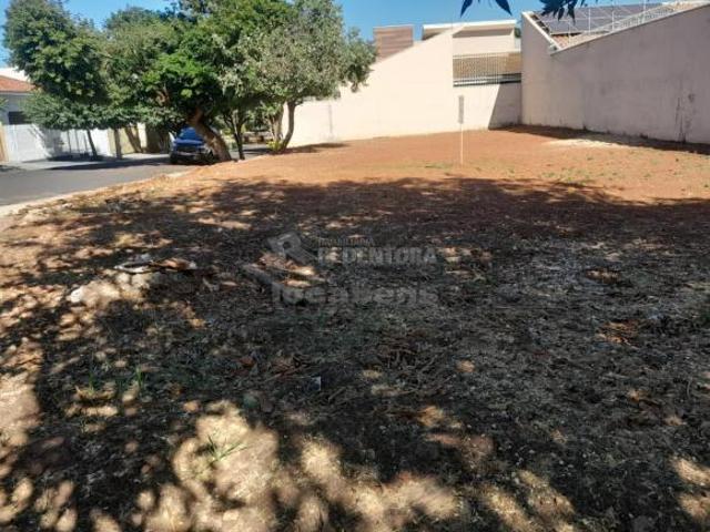 Terreno Padrão em São José do Rio Preto