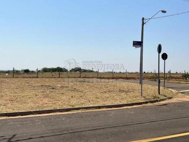 Terreno Padrão em São José do Rio Preto