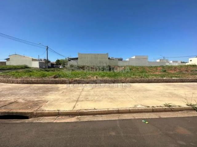 Terreno Padrão em São José do Rio Preto