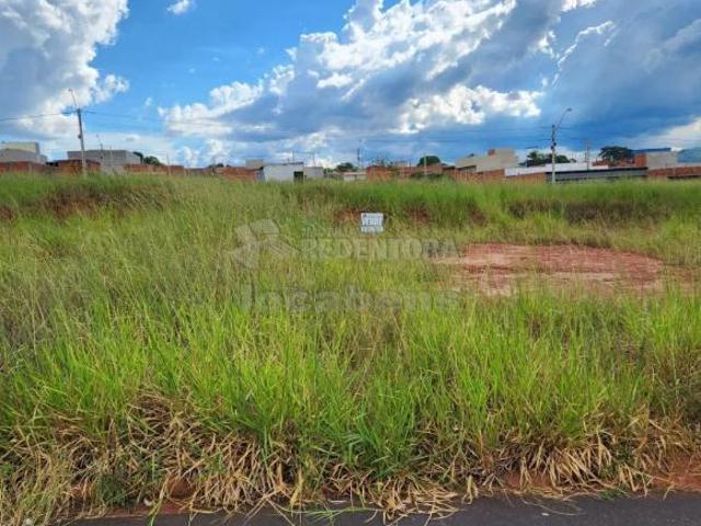 Terreno Padrão no bairro Residencial Vila Lobo