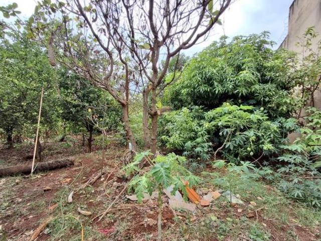 Terreno padrão para venda no Bairro City, em Ribeirão Preto/SP