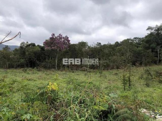 Terreno para comprar e alugar mensal, Jd Das Palmeiras, Suzano