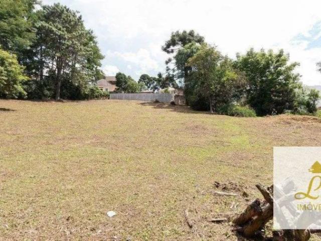 Terreno para Condomínio ZR2 com 7.746 M² no coração do Vista Alegre, ao lado do Parque Tingui!