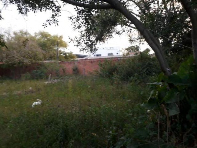 TERRENO para construção de casas ou predio residencial