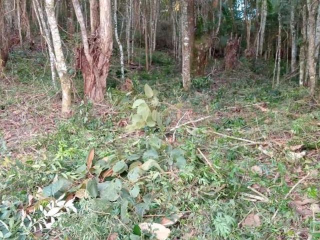 Terreno para construção em condomínio Jardim dos Ipês