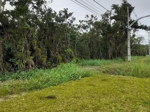 Terreno para construir em Praia de Leste