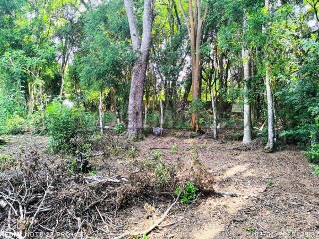 Terreno para construir sua chácara!