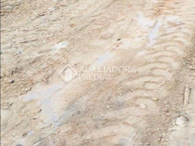TERRENO PARA CONSTRUTOR