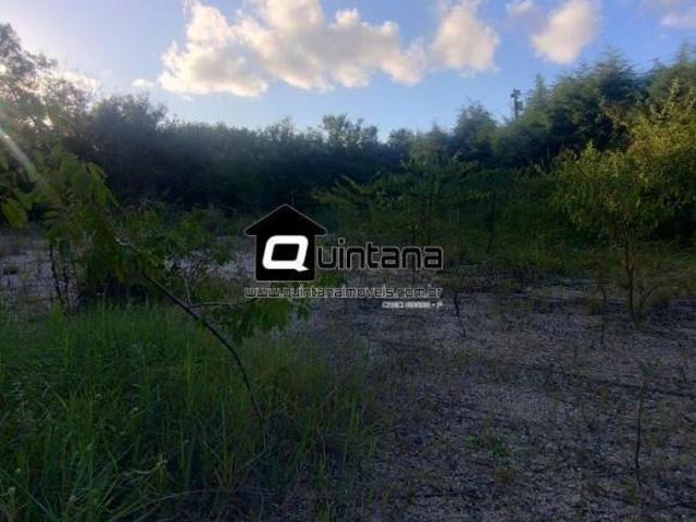 Terreno para contrutora 17.600 m²