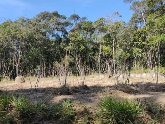 Terreno para chácara Taiaçupeba Mogi das Cruzes