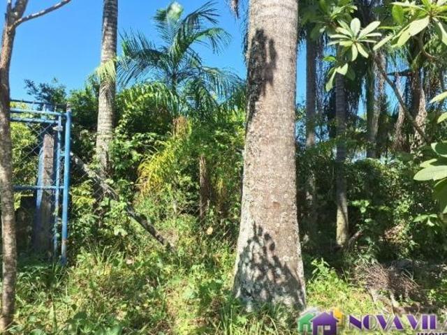 terreno para chacara, vender em jaguariúna, recreio Floresta