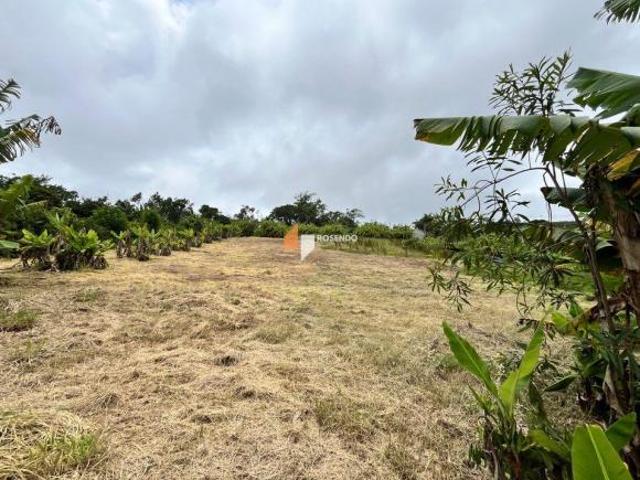 TERRENO PARA CHÁCARA EM BIRITIBA MIRIM