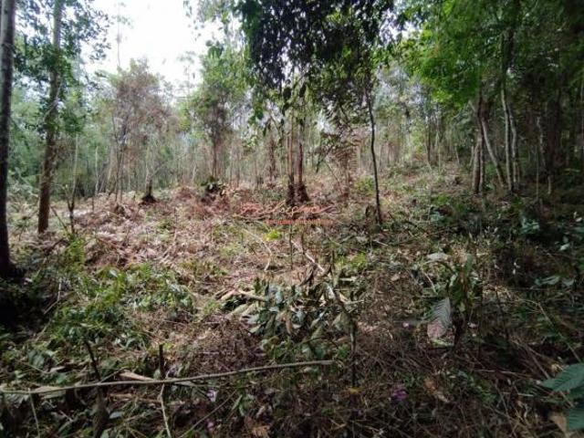 Terreno para Chacara Rodovia Mogi Bertioga, Biritiba Ussu Mogi das Cruzes