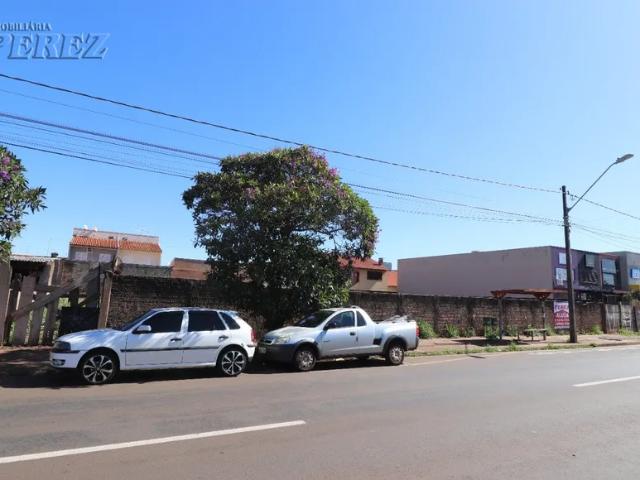 Terreno para alugar na Av Robert Koch na região leste de Londrina