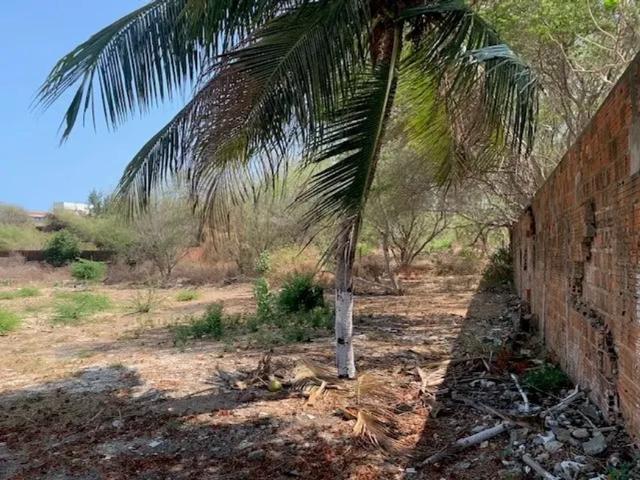Terreno para alugar na cidade de fortaleza ce