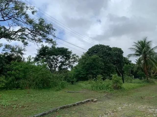Terreno para alugar na cidade de fortaleza ce