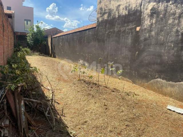 Terreno para alugar no bairro Ary Coelho em Piracicaba SP