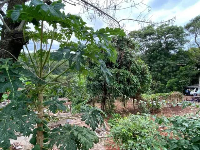 Terreno para alugar no Parque das Indústrias na Região Sul de Londrina