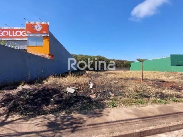 Terreno para alugar, Aclimação Uberlândia/MG Rotina Imobiliária