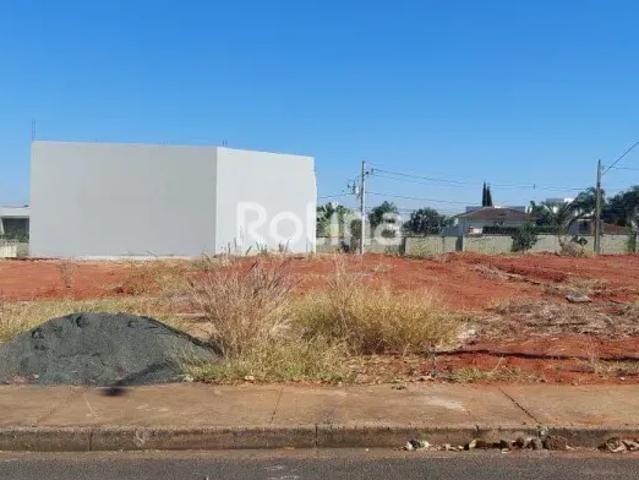 Terreno para alugar, Bosque dos Buritis Uberlândia/MG Rotina Imobiliária
