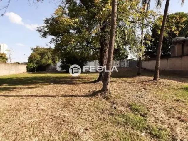 Terreno para alugar em Americana, Jardim SÃ£o Domingos