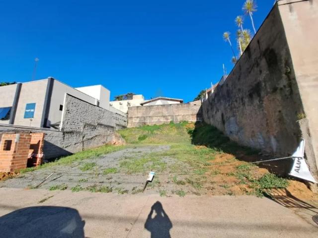 Terreno para alugar em Campinas, Nova Campinas, com 250 m²